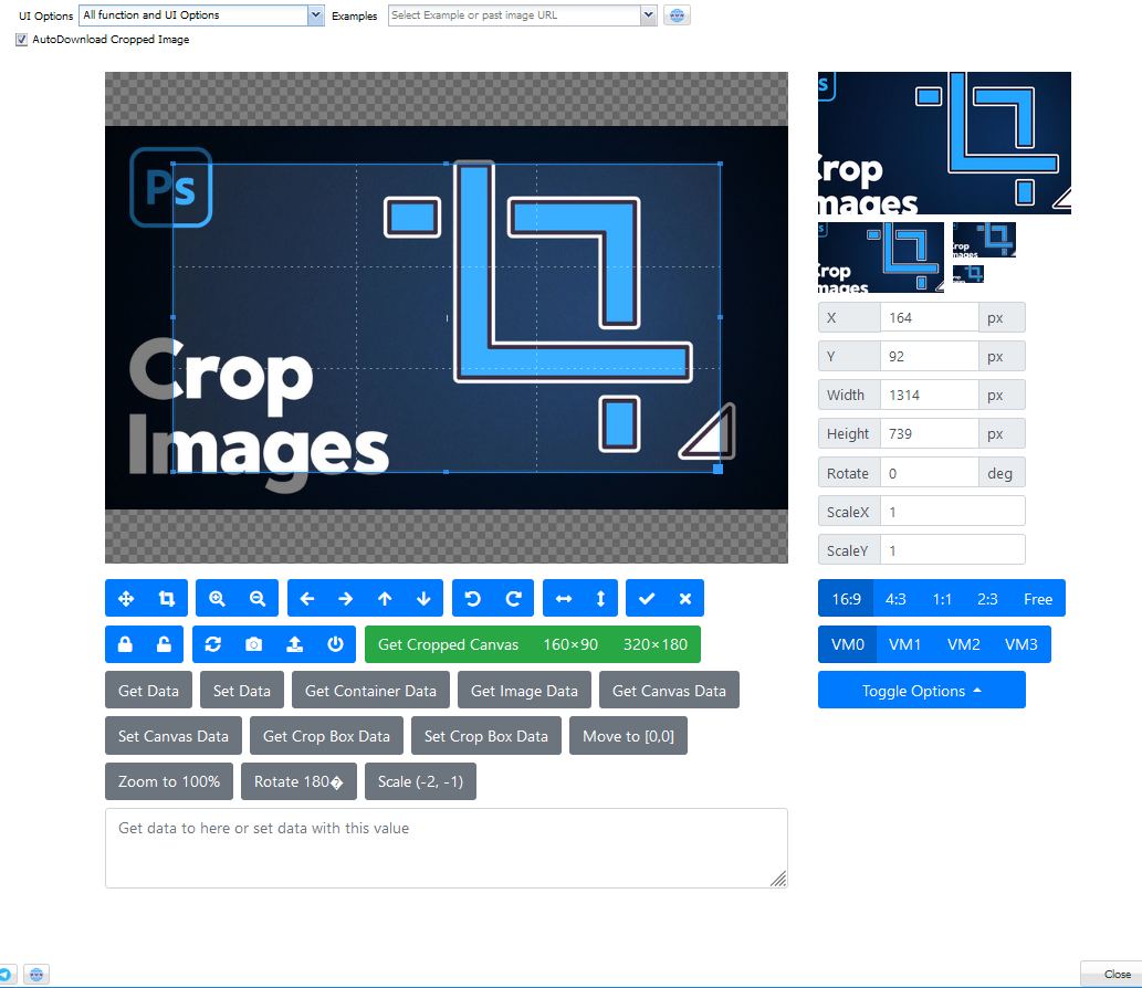 uniGUI Master Crop Image